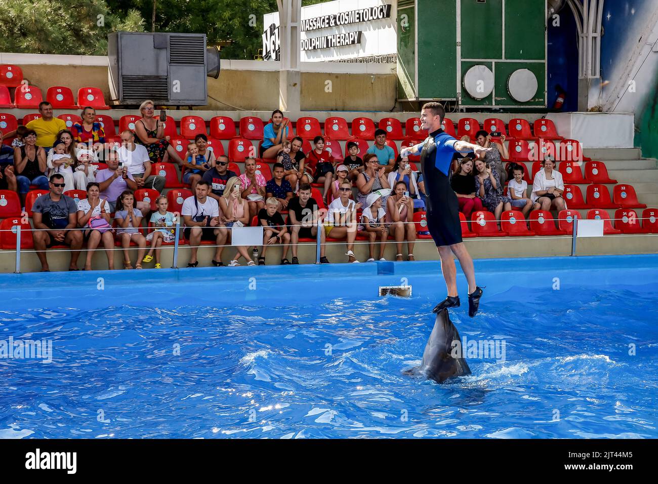 Dolphin with trauma hi-res stock photography and images - Alamy
