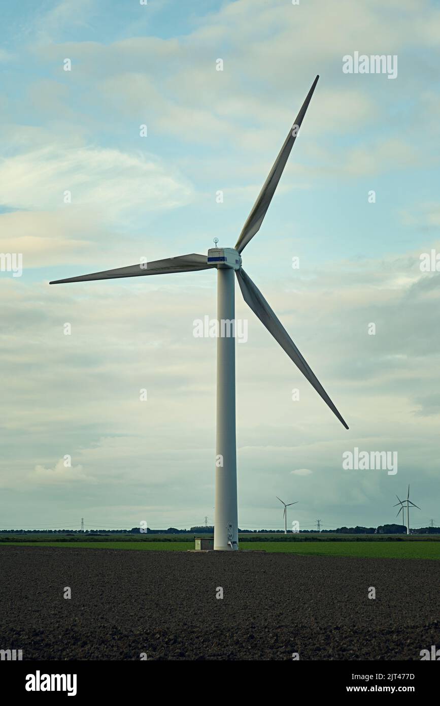 Free, reusable energy for all. a cluster of wind turbines standing in ...