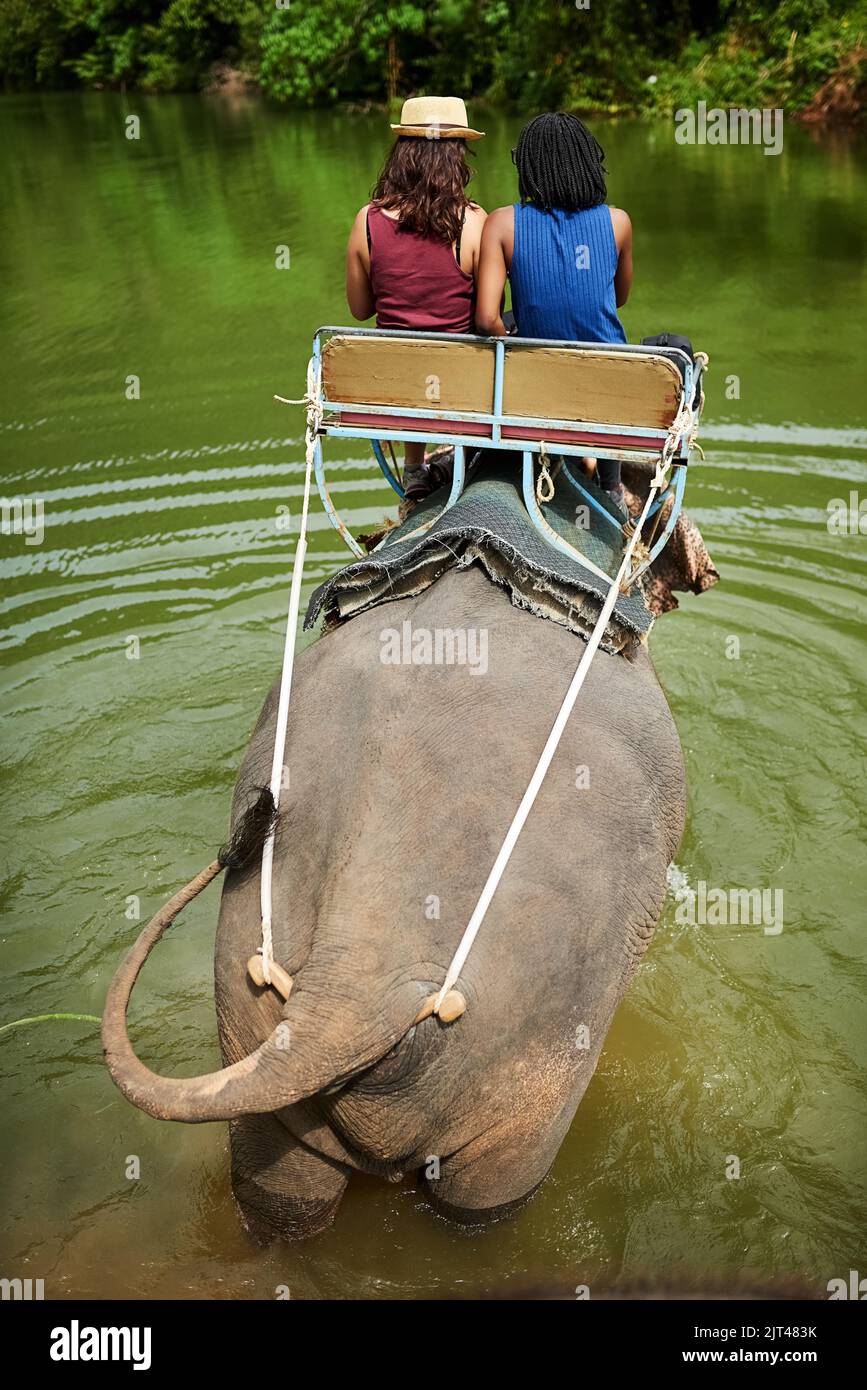 The ultimate bucket list experience. Rear view shot of two young ...