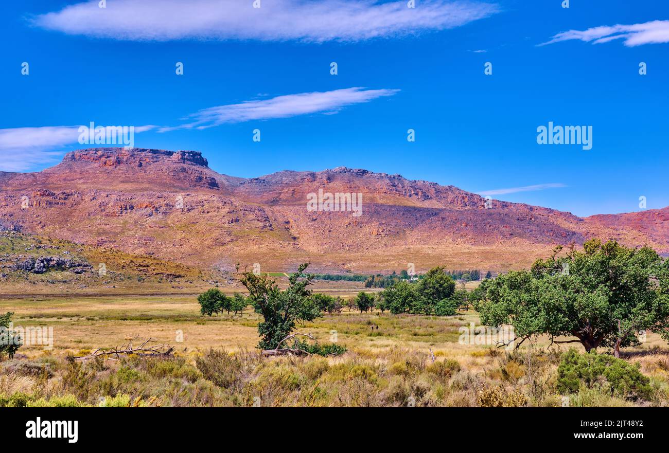 Landscape in Cederberg nature reserve, South Africa Stock Photo - Alamy