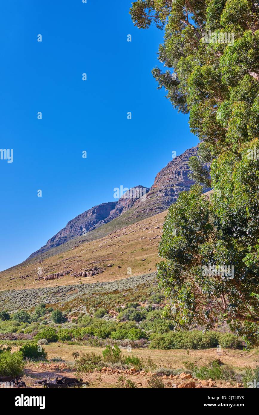 Cedarberg Wilderness Area - South Africa Stock Photo - Alamy