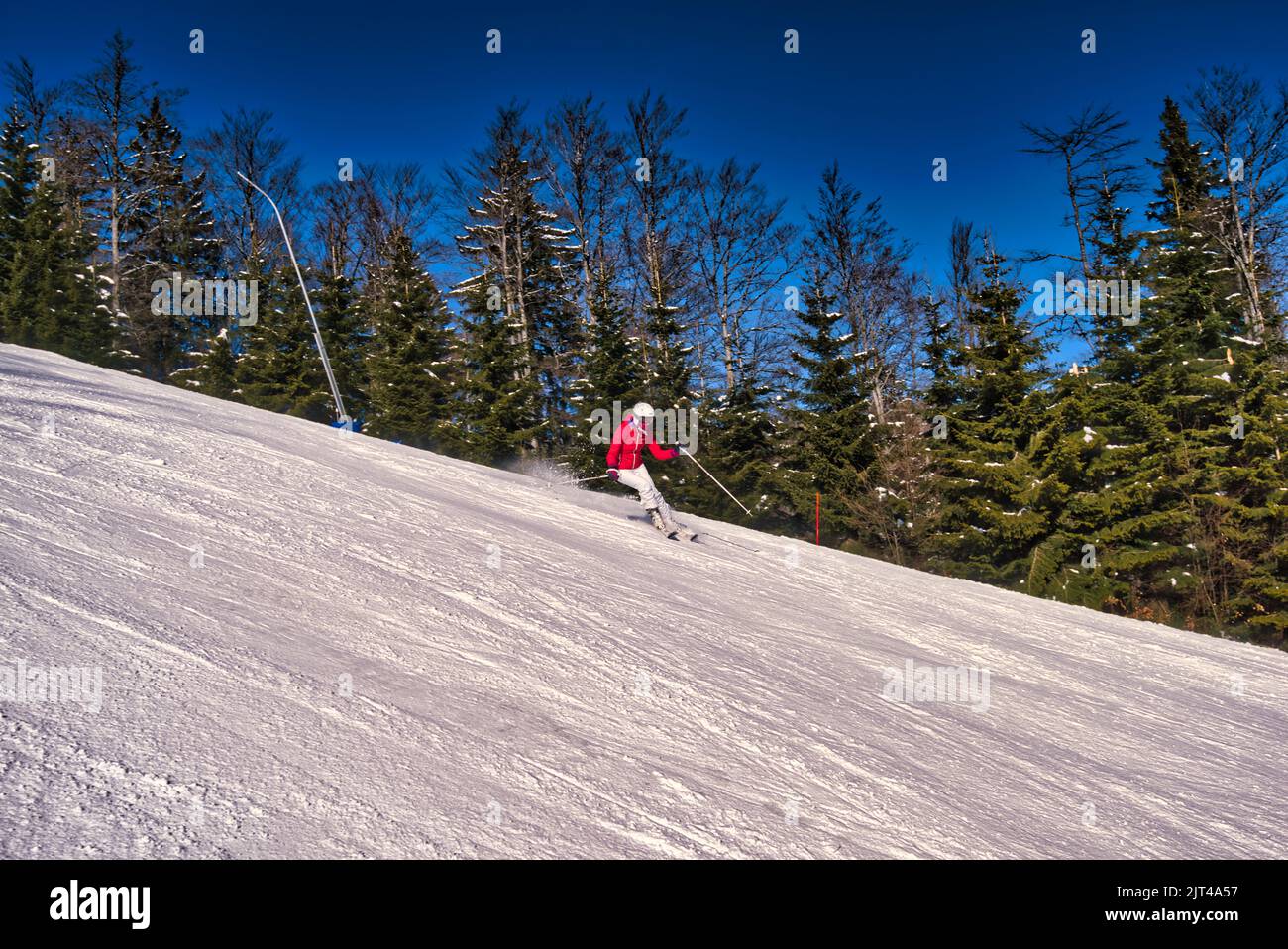 Free for all race hi-res stock photography and images - Alamy
