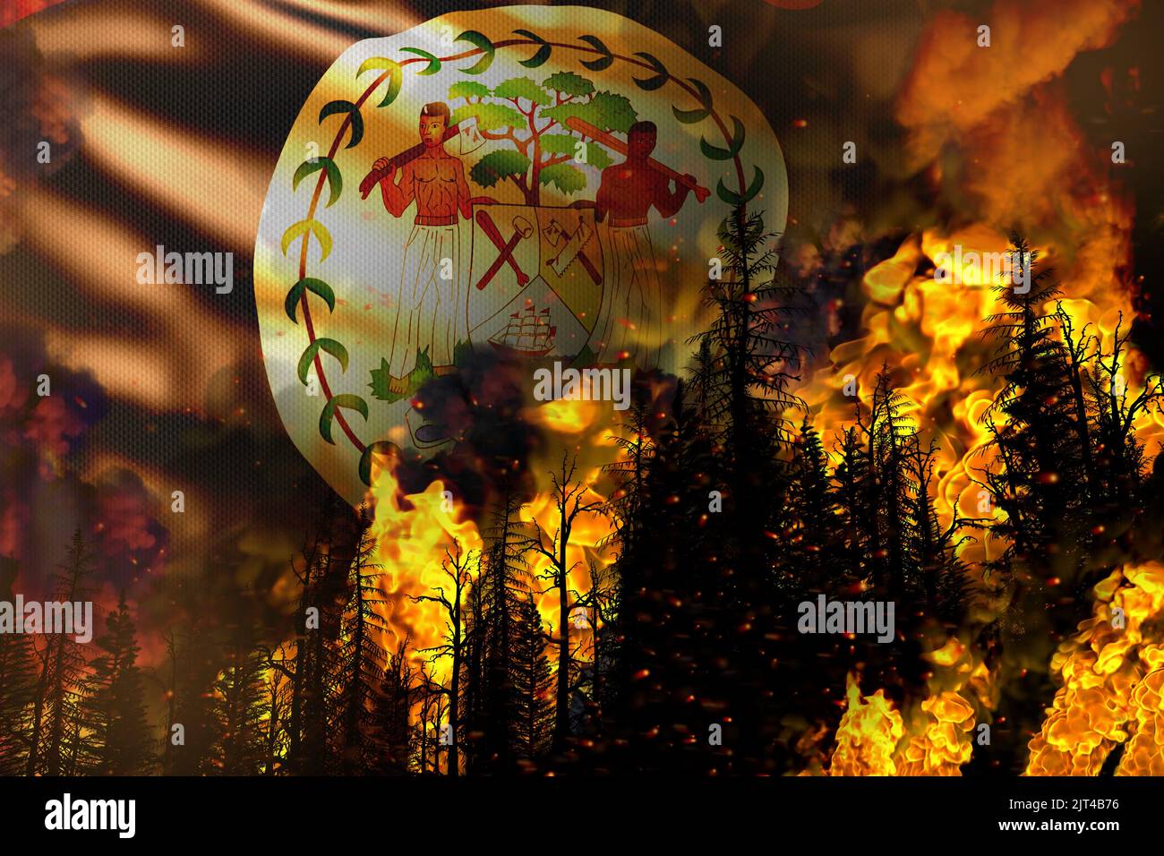 Forest fire natural disaster concept - infernal fire in the trees on ...