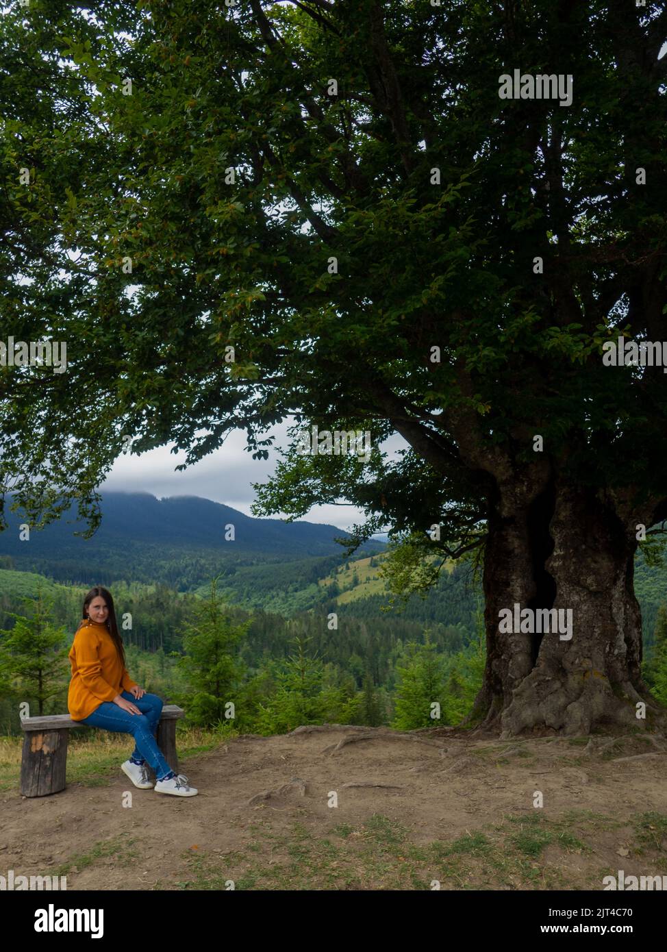Female in casual clothes sits under large tree with forest background ...