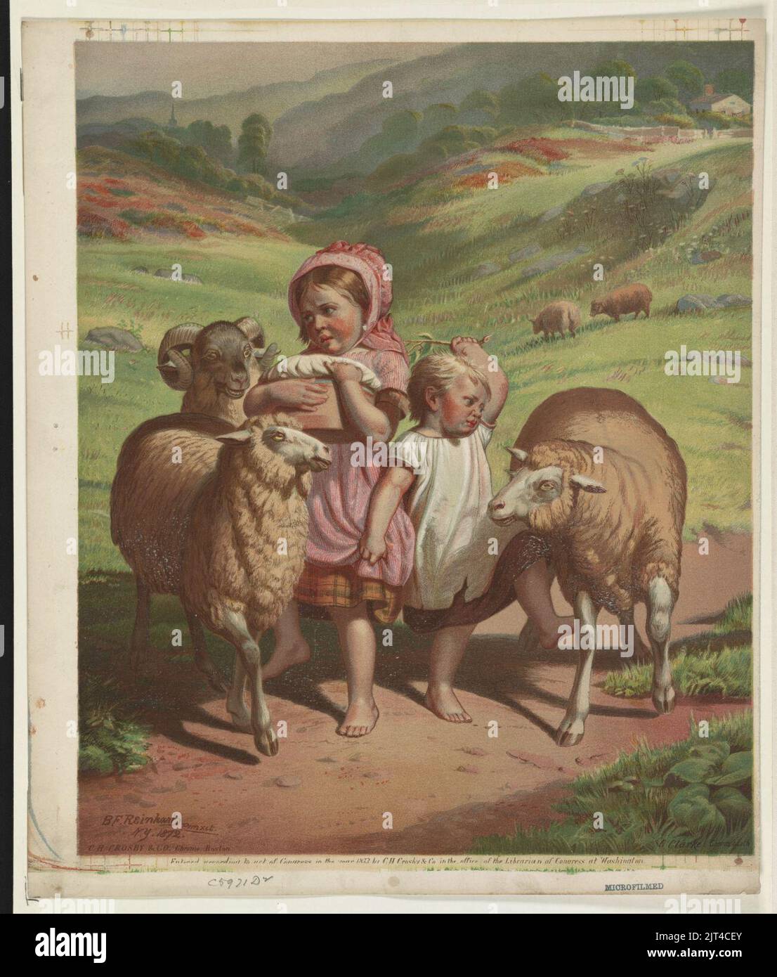 Two children among 2 sheep and 1 ram Stock Photo - Alamy