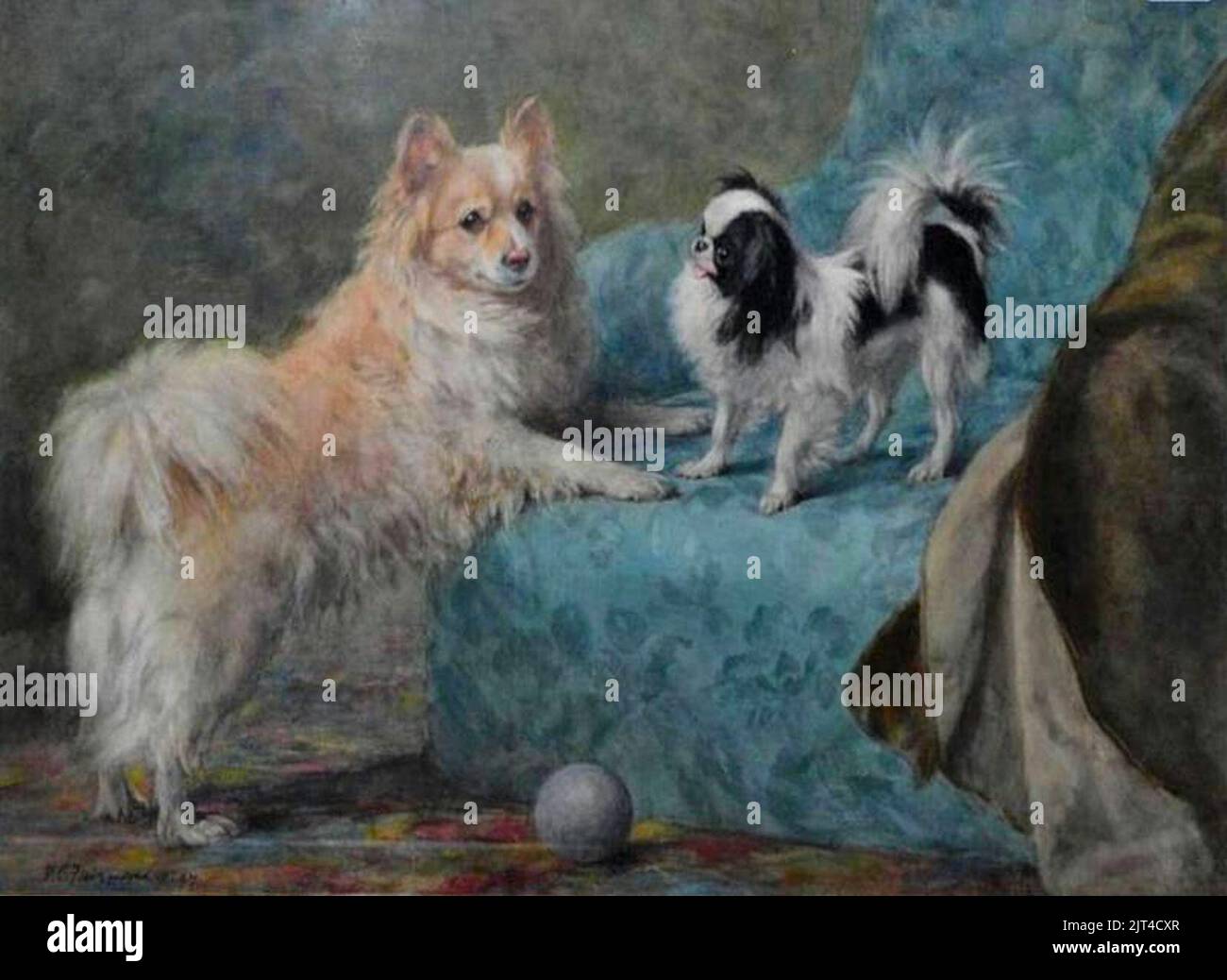 Two dogs at rest on a chair by Frances C. Fairman (2 Stock Photo - Alamy