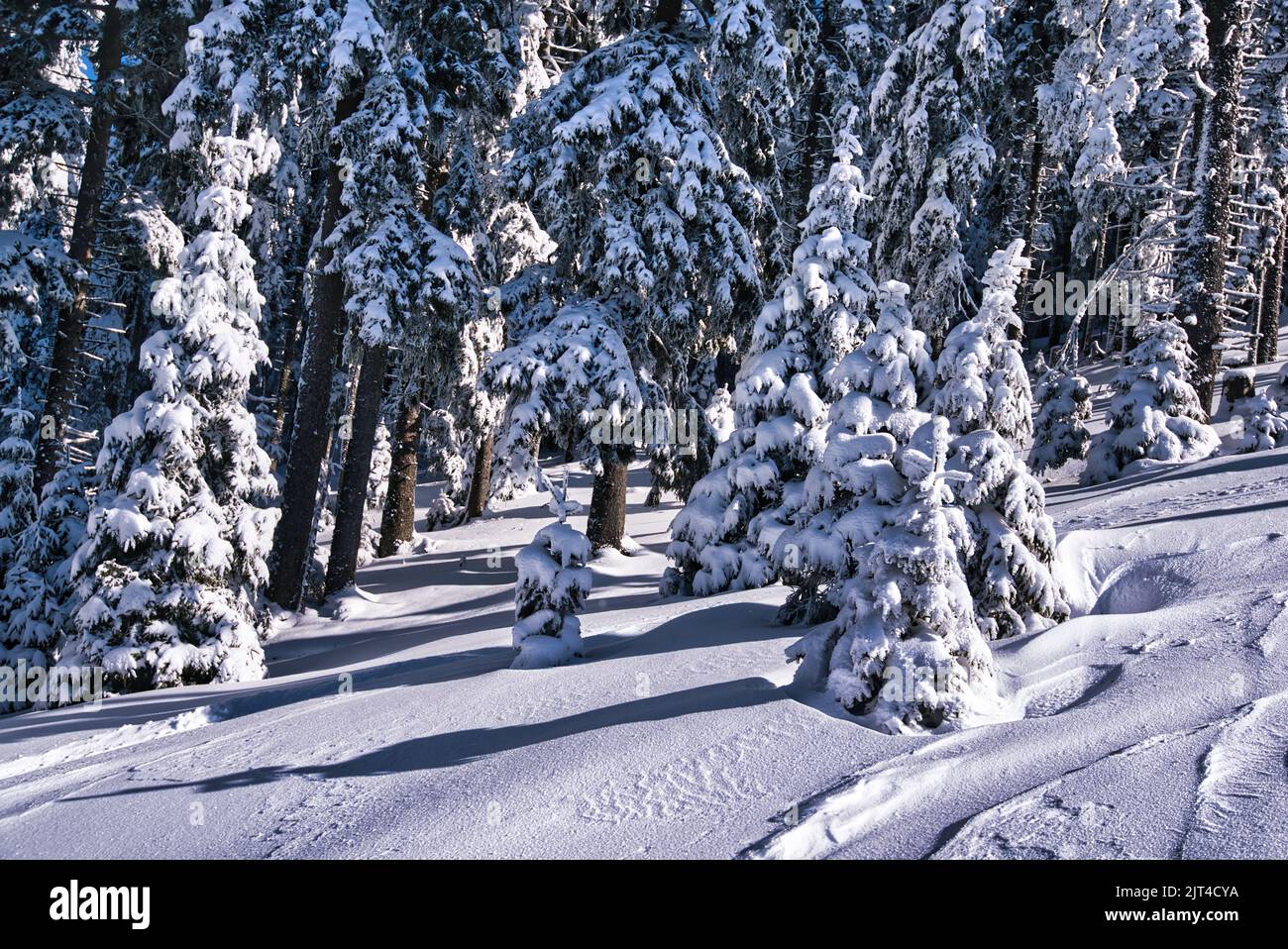 Ski resort at a sunny day Stock Photo - Alamy