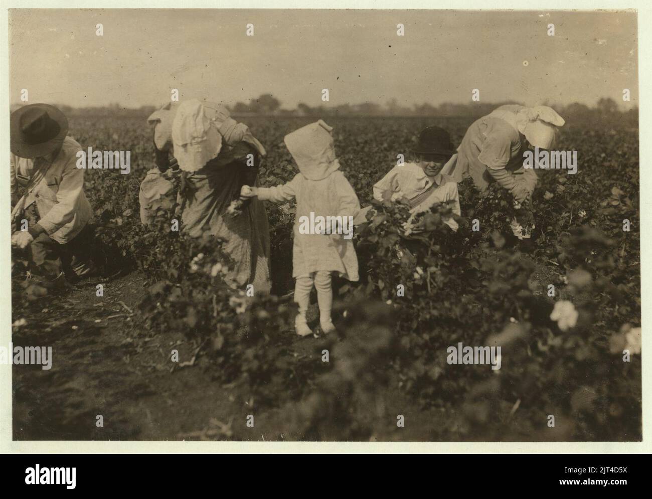 Two families working together on Kimball farm, near Waxahachie. The ...