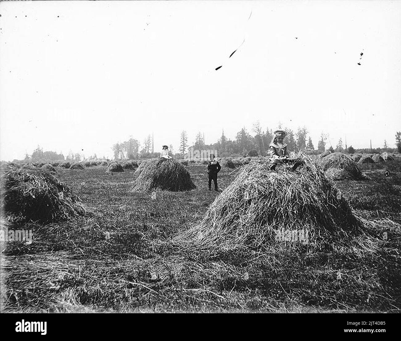 Two girls seated on haystacks in field, unidentified farm, Washington ...