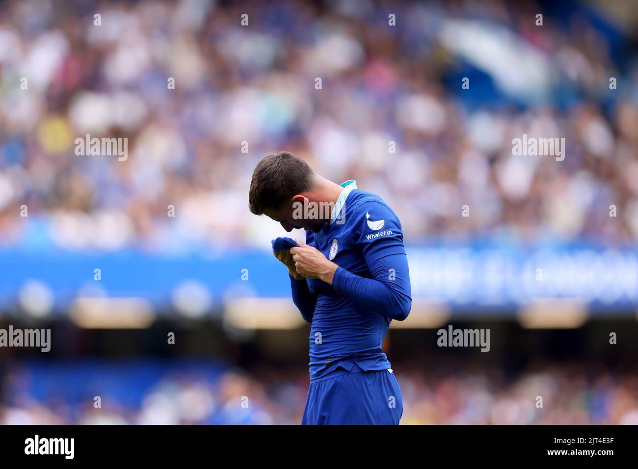 27th August 2022; Stamford Bridge, Chelsea, London, England: Premier ...