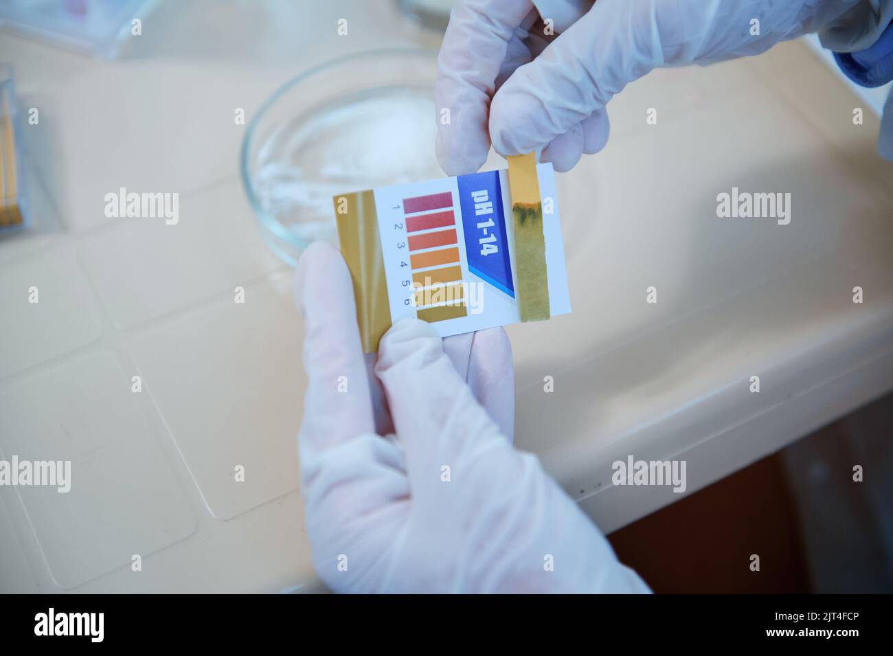Close-up lab technician's hands in medical gloves, holding a litmus or ...