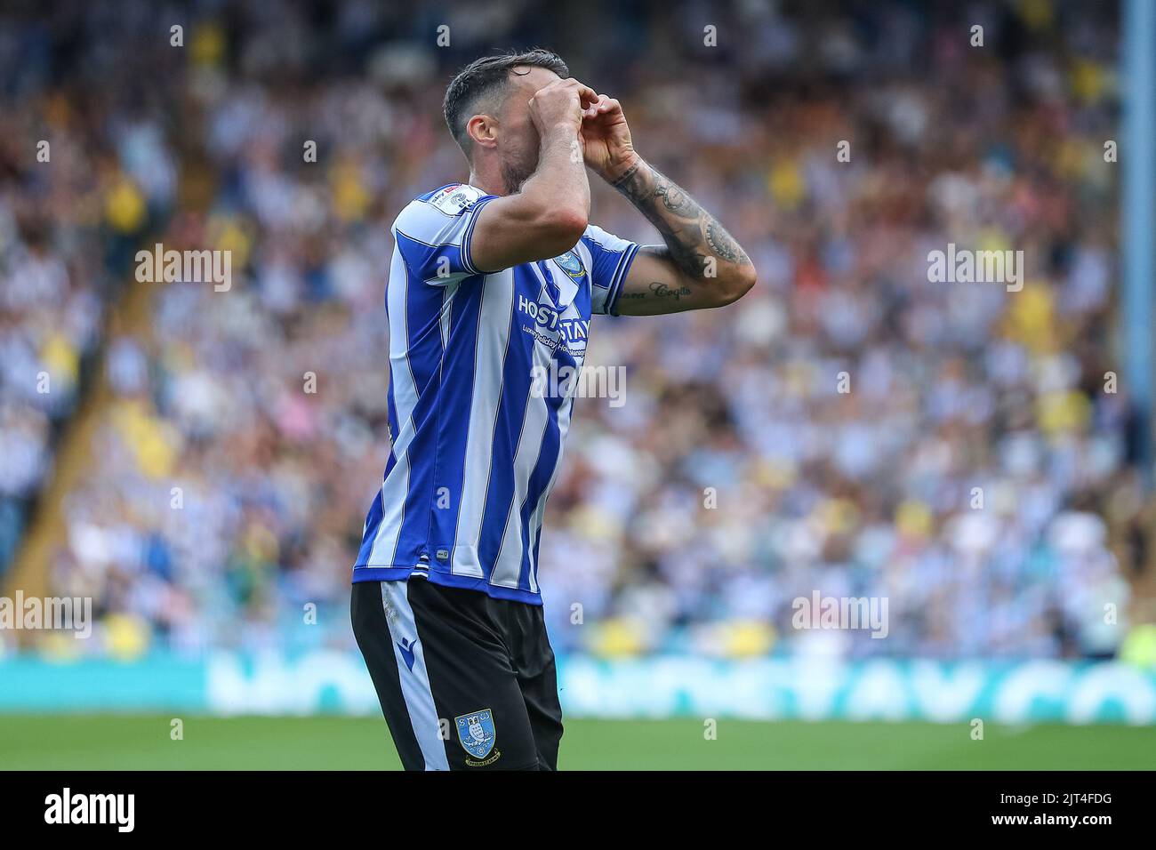Sheffield, UK. 27th Aug, 2022. Lee Gregory #9 of Sheffield Wednesday ...