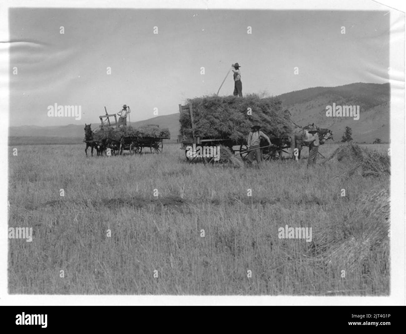 Two Wagons, Indians Gathering Grain (4171933399 Stock Photo - Alamy