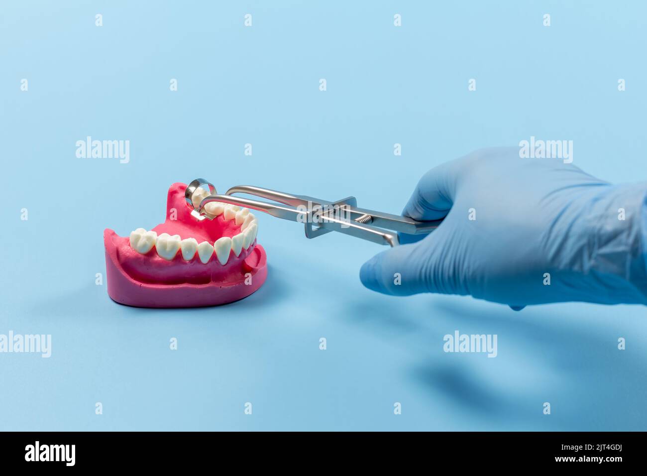 Dentist in latex gloves with the rubber dam clamp forceps and the ...