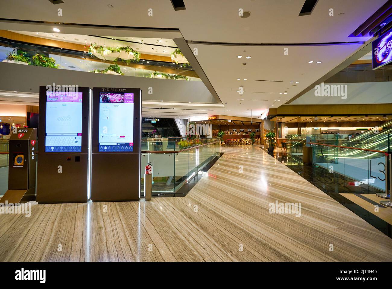 SINGAPORE - CIRCA JANUARY, 2020: interior shot of Singapore Changi ...
