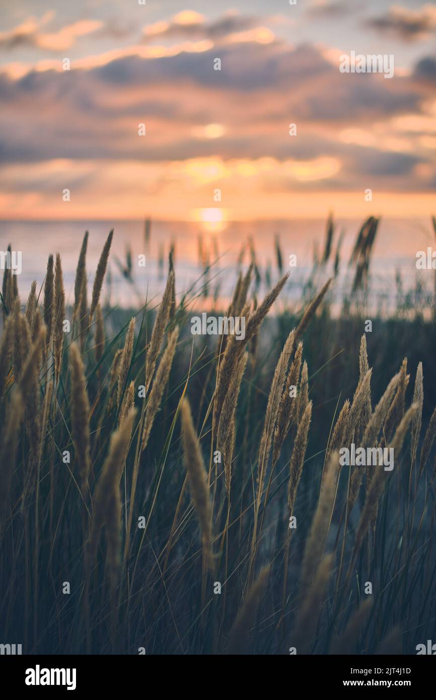 Blokhus sand hi-res stock photography and images - Alamy