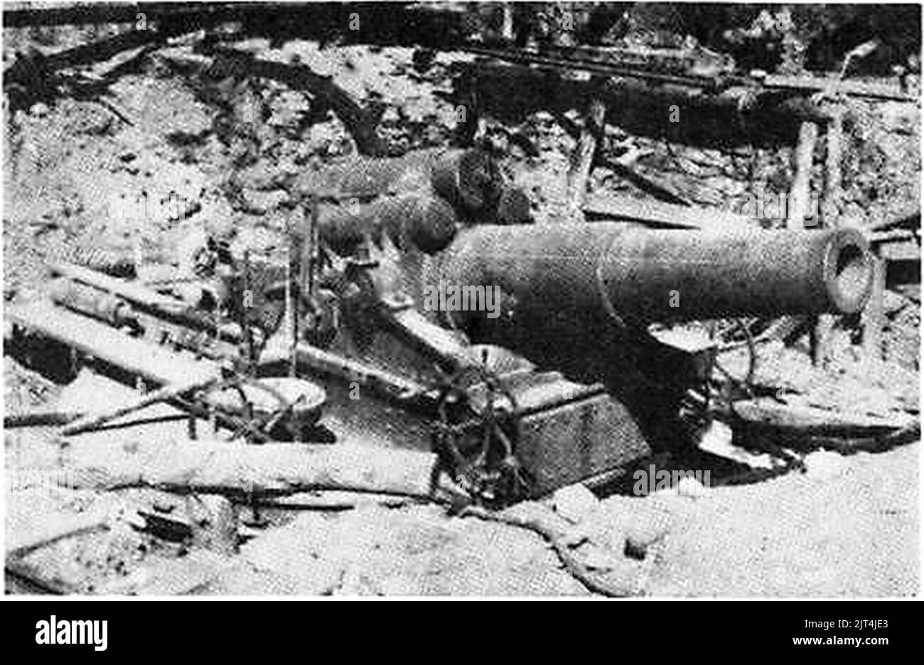 7 30cm hi-res stock photography and images - Alamy