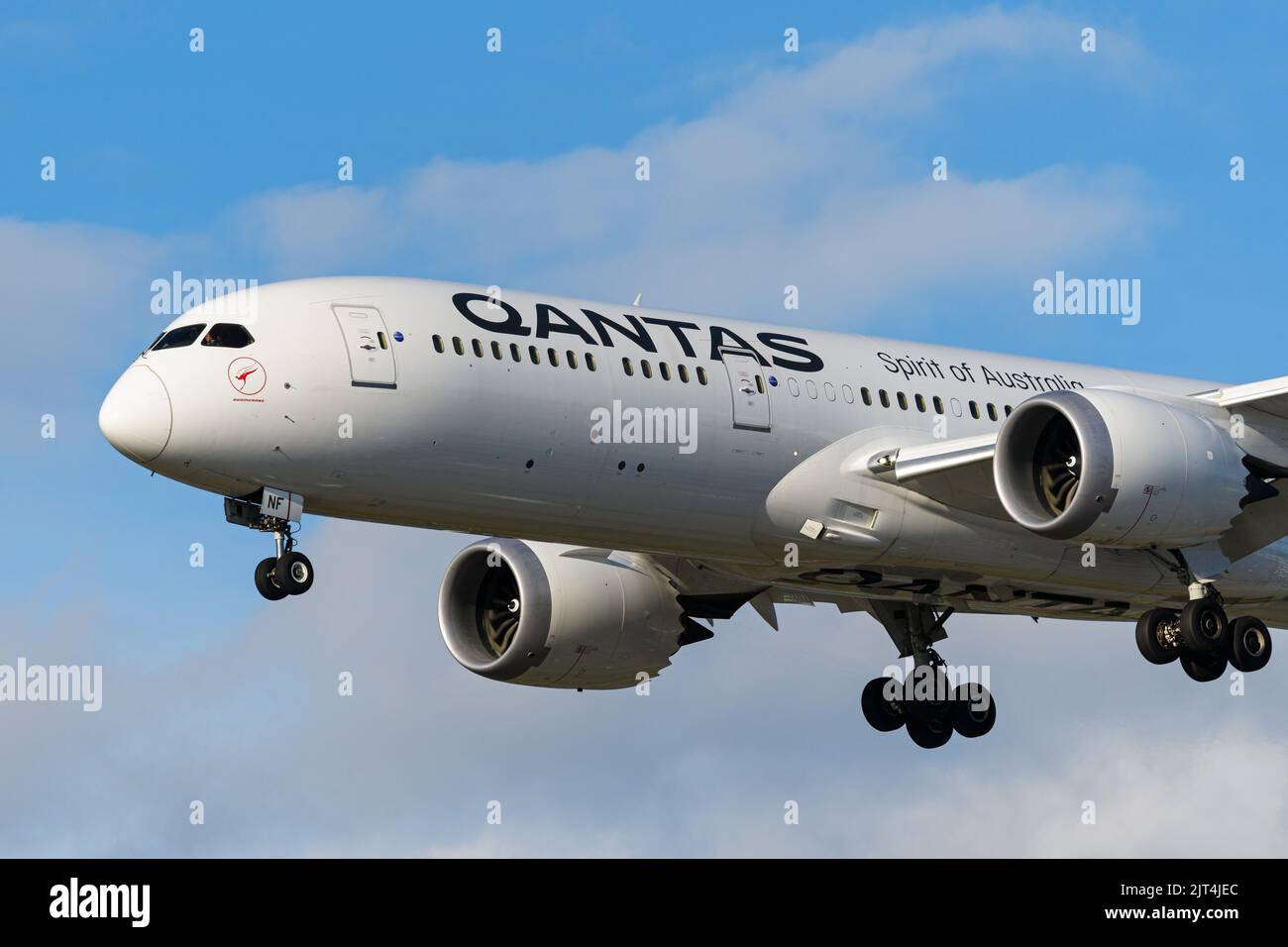 Znf logo hi-res stock photography and images - Alamy