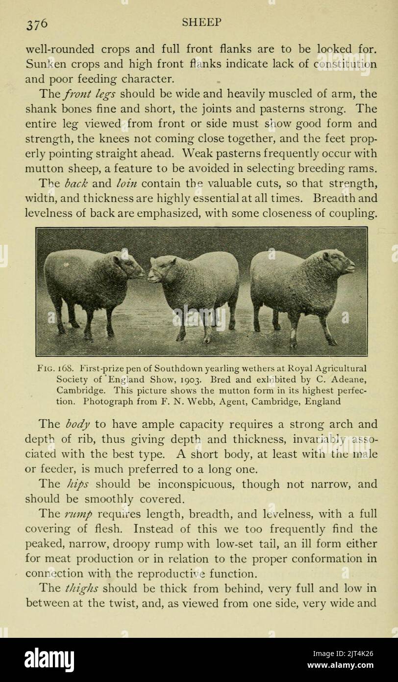Types and breeds of farm animals (Page 376 Stock Photo - Alamy Types and breeds of farm animals (Page 376 Stock Photo - Alamy
