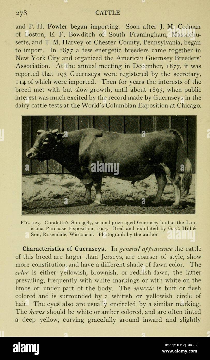 Types and breeds of farm animals (Page 278 Stock Photo - Alamy