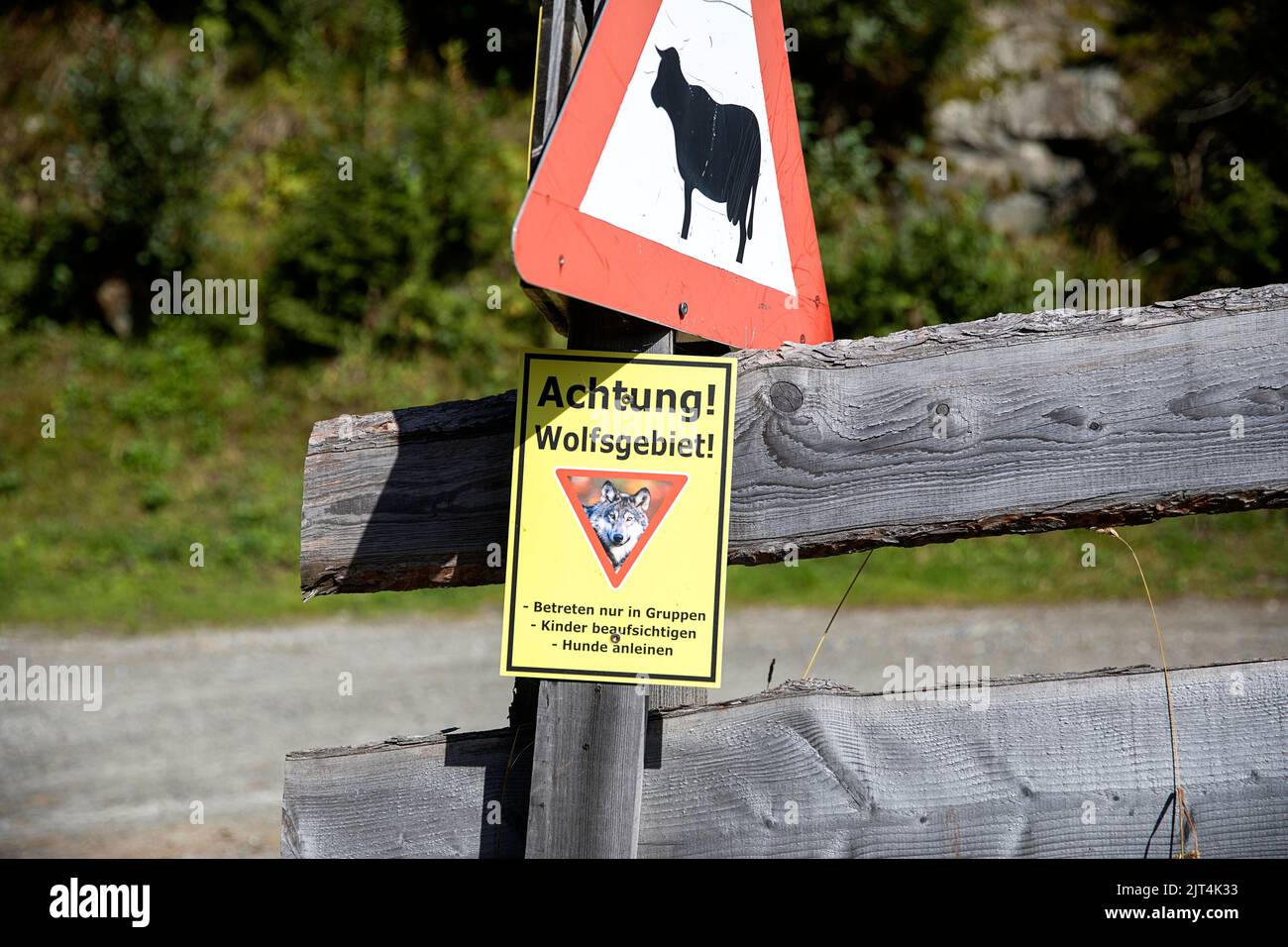 Wolf warning sign near Innergschlöß in Gschlosstal valley in Hohe ...