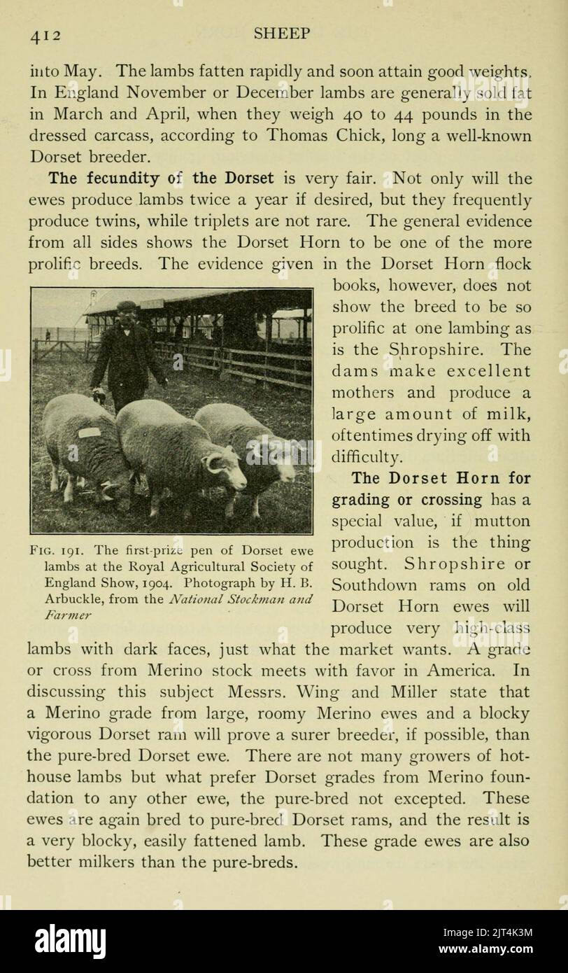 Types and breeds of farm animals (Page 412 Stock Photo - Alamy