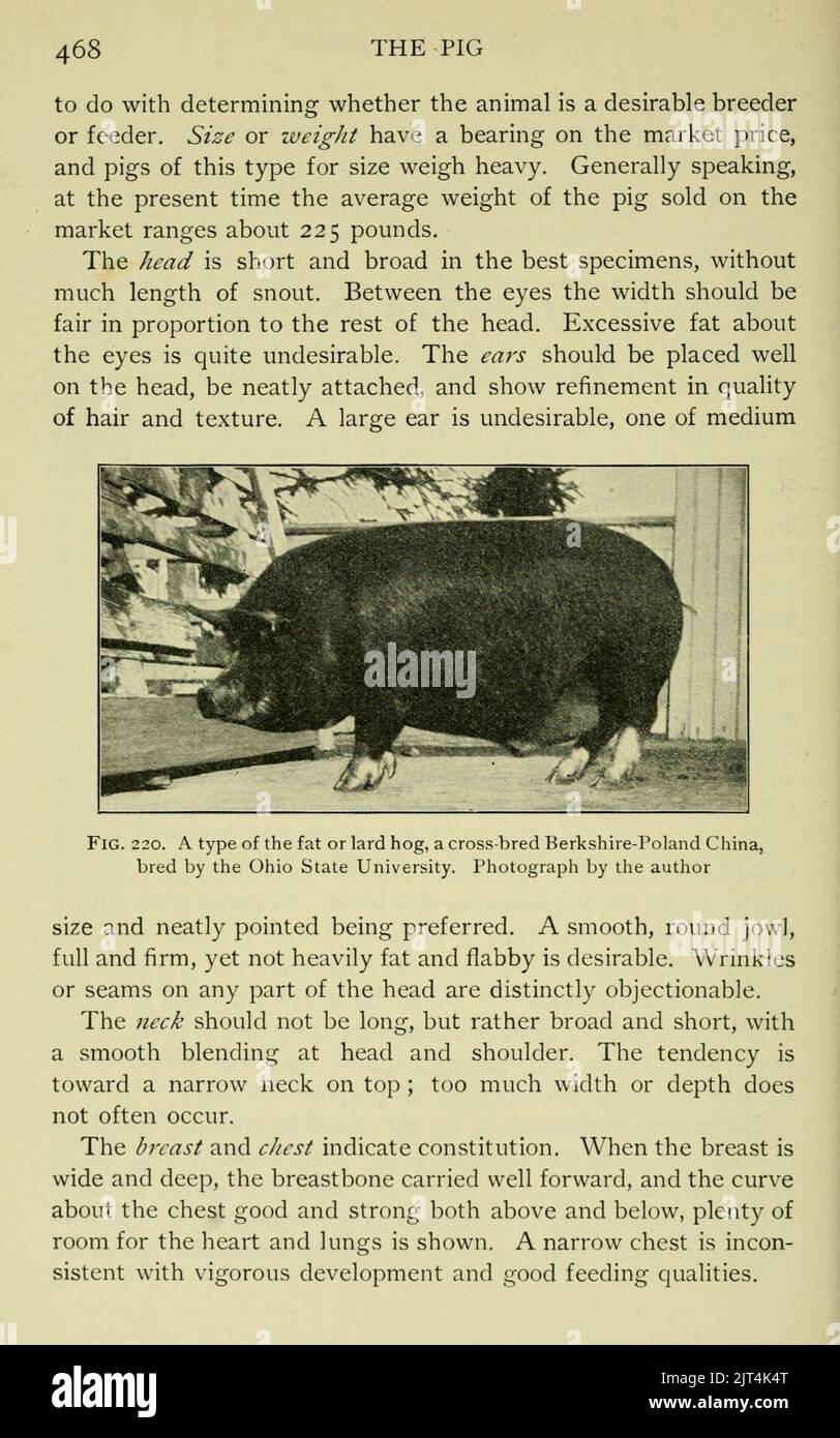 Types and breeds of farm animals (Page 468 Stock Photo - Alamy Types and breeds of farm animals (Page 468 Stock Photo - Alamy