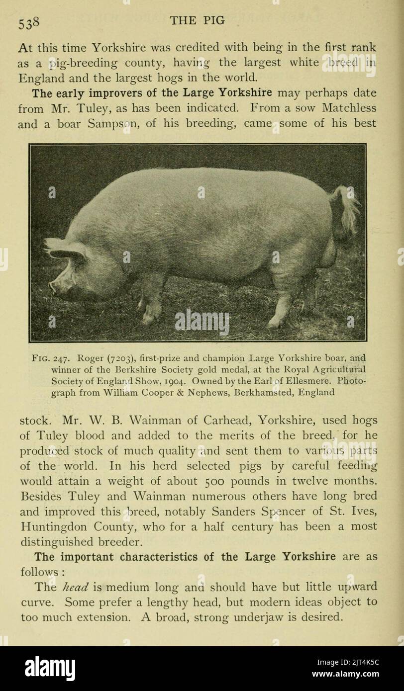 Types and breeds of farm animals (Page 538 Stock Photo - Alamy