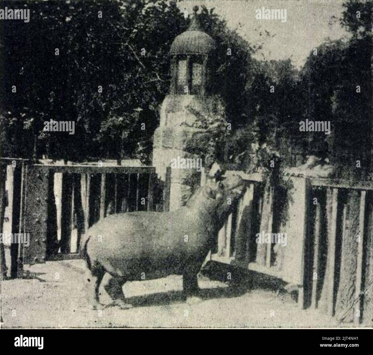 Vizilo hi-res stock photography and images - Alamy