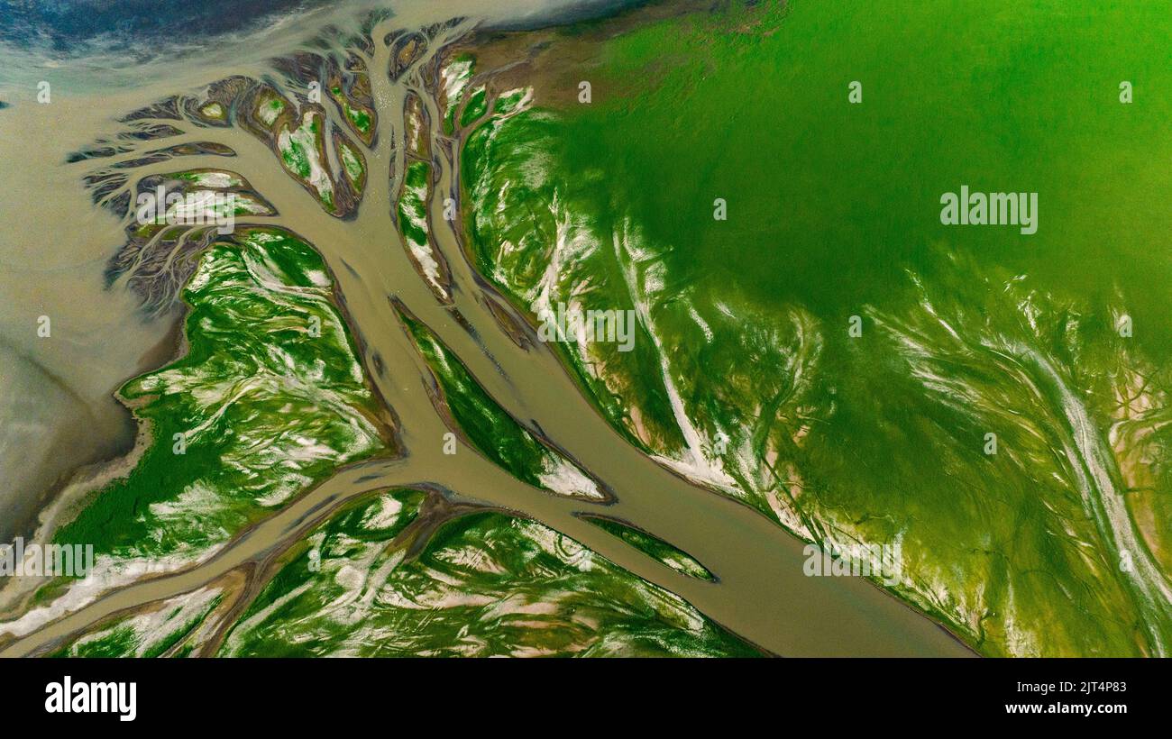 NANCHANG, CHINA - AUGUST 26, 2022 - An aerial photo shows a tree-shaped ...