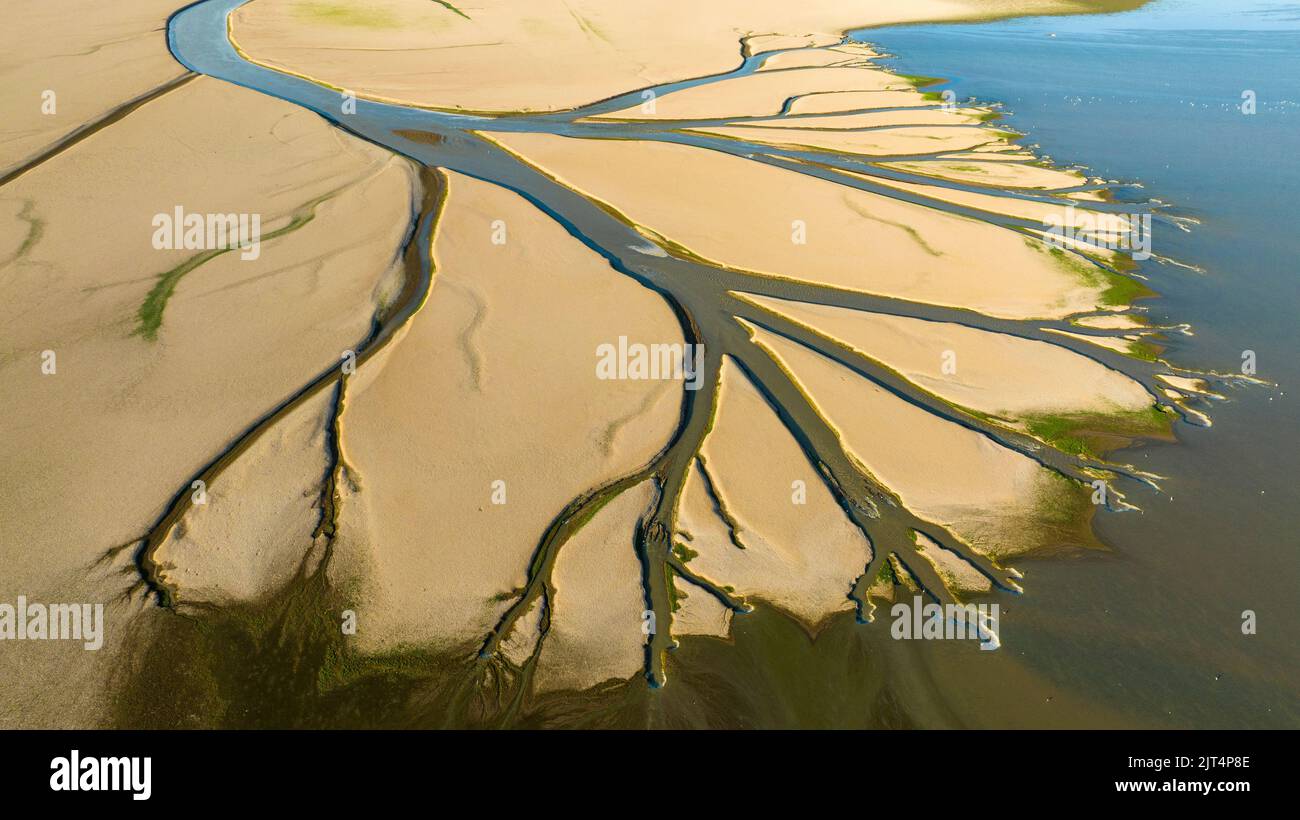 NANCHANG, CHINA - AUGUST 26, 2022 - An aerial photo shows a tree-shaped ...