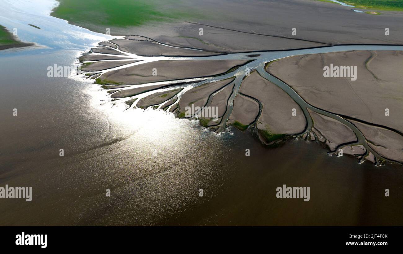 NANCHANG, CHINA - AUGUST 26, 2022 - An aerial photo shows a tree-shaped ...