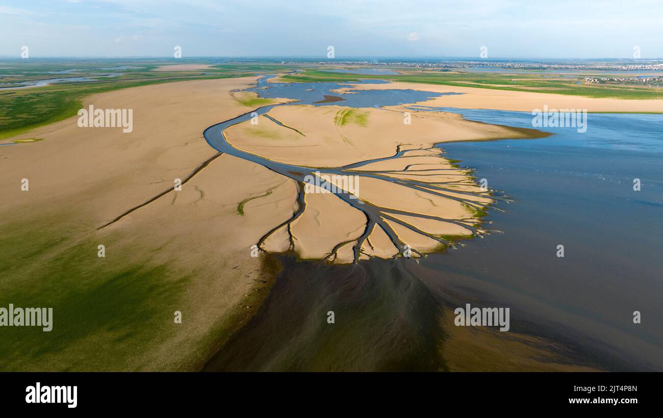 NANCHANG, CHINA - AUGUST 26, 2022 - An aerial photo shows a tree-shaped ...
