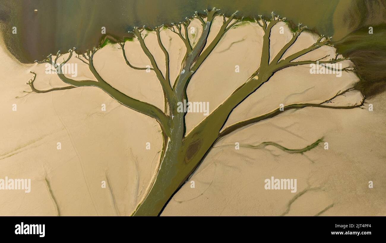 NANCHANG, CHINA - AUGUST 26, 2022 - An aerial photo shows a tree-shaped ...