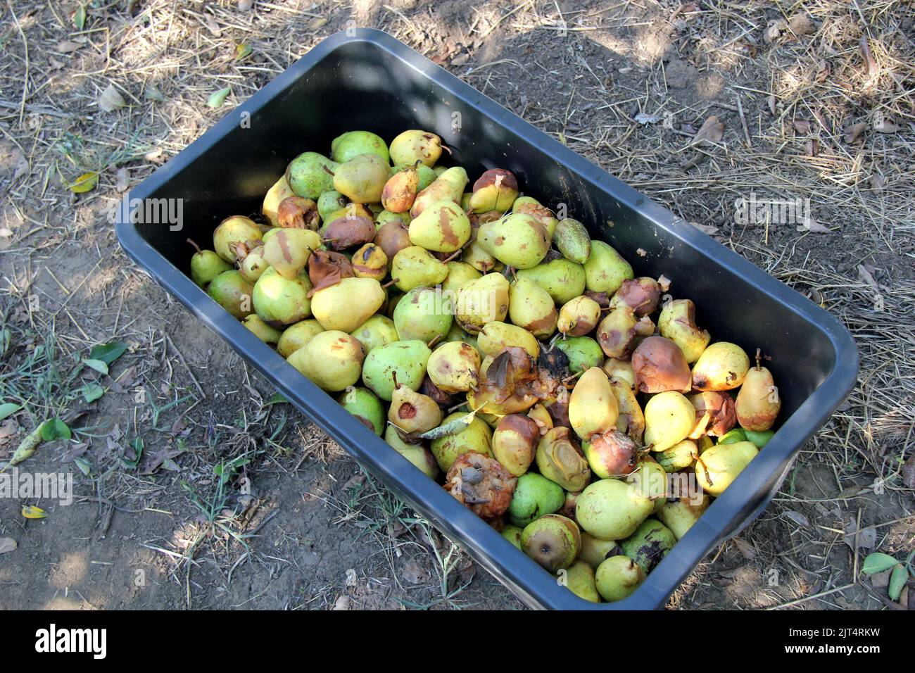 Alcohol production hi-res stock photography and images - Alamy