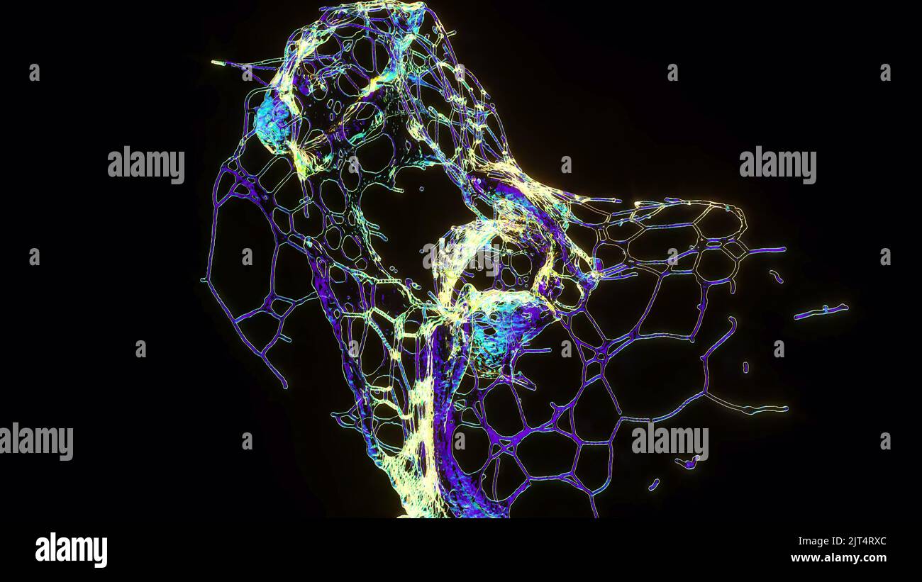 Water splash alpha channel liquid. Beauty nature super slow motion 1000 ...