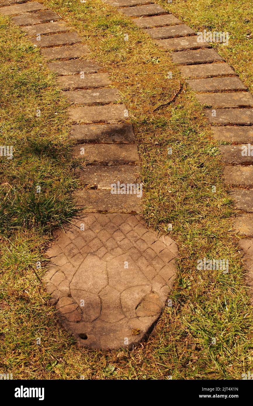 A view of a snake pathway in Brandon Country Park garden, Suffolk ...