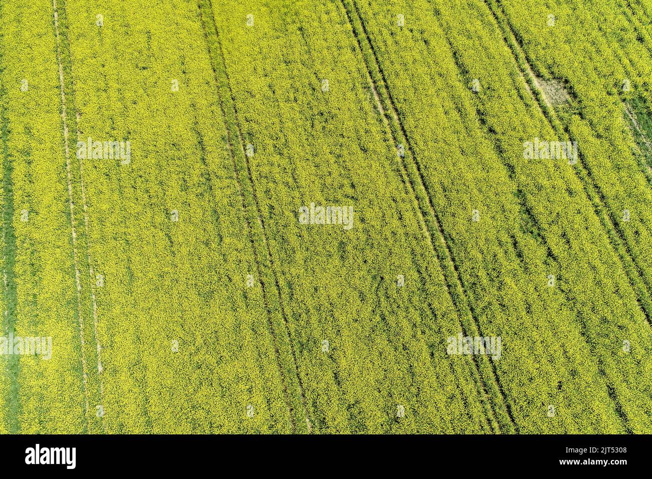 Patterned grass hi-res stock photography and images - Alamy