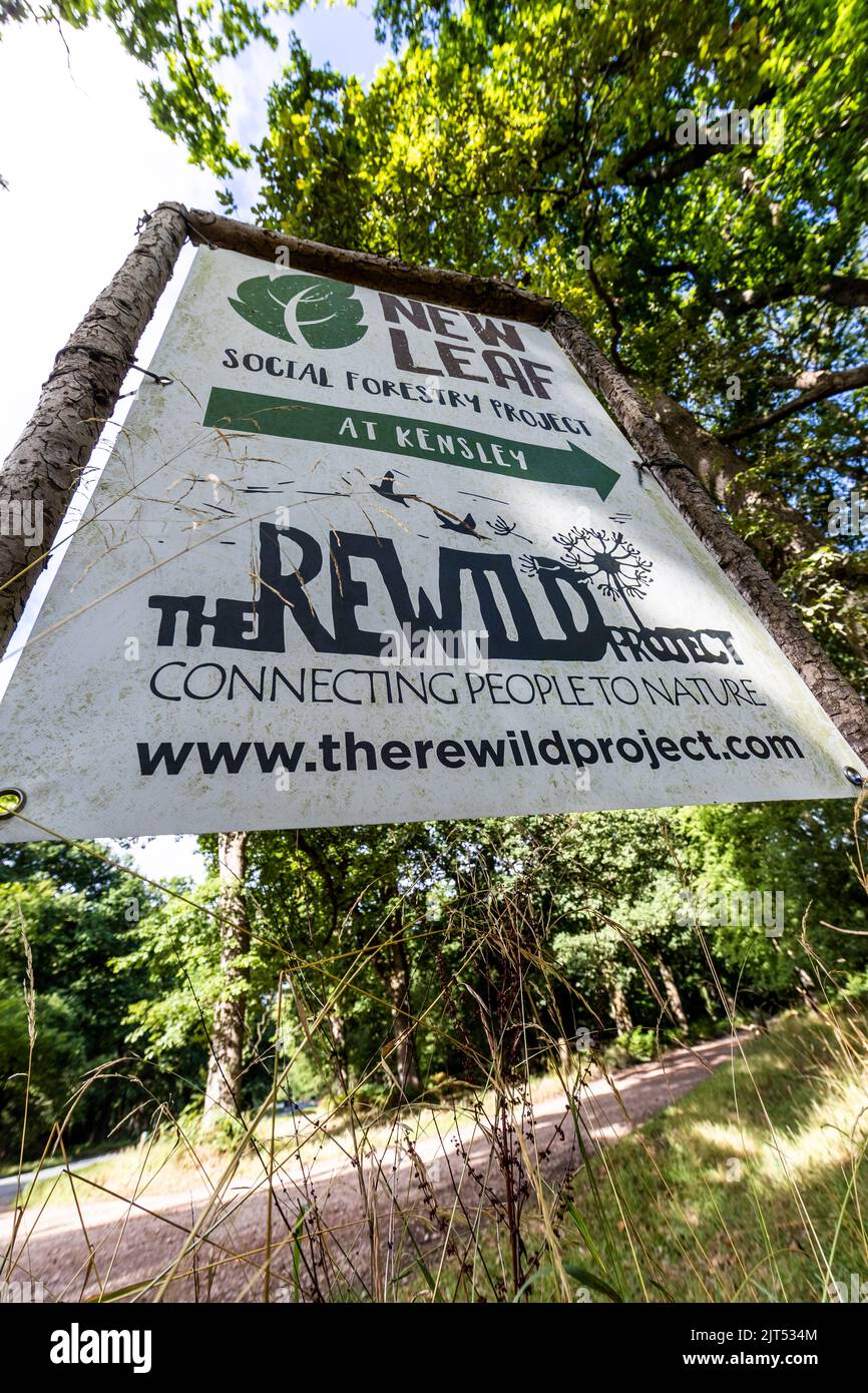 Rewild Project sign board, Speech House Woods, Gloucestershire. UK Stock Photo - Alamy