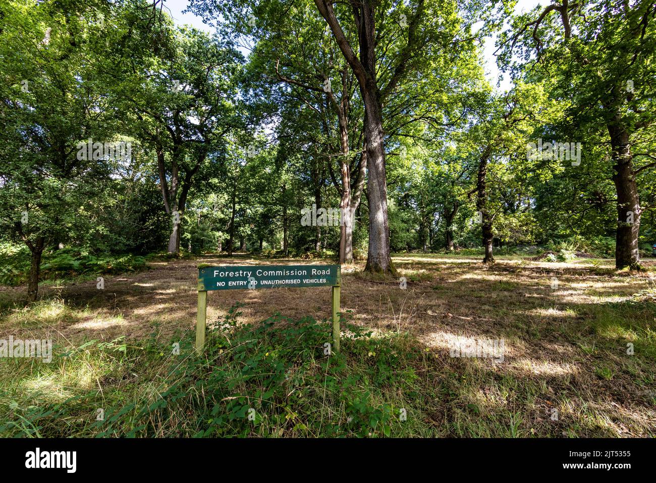 Old dean common hi-res stock photography and images - Alamy