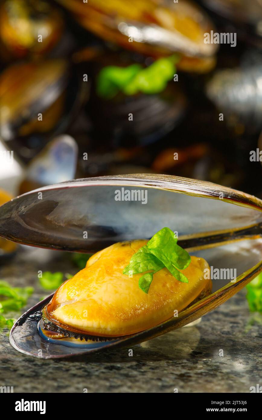 Cooked mussels with lemon and parsley on table. served mussels ready to ...