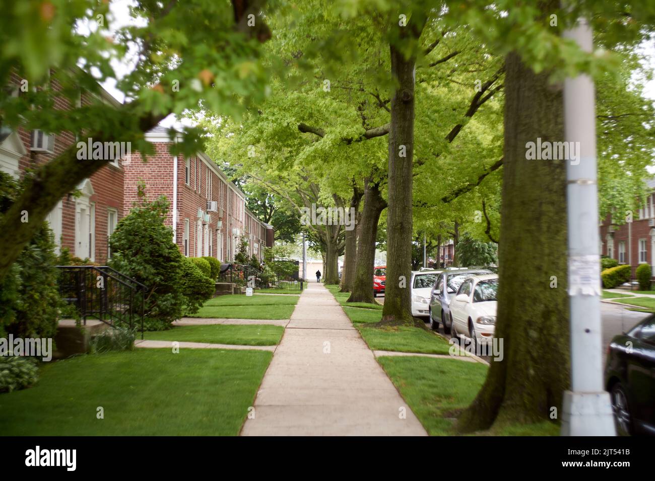A narrow sidewalk with grass and trees in New York Stock Photo - Alamy