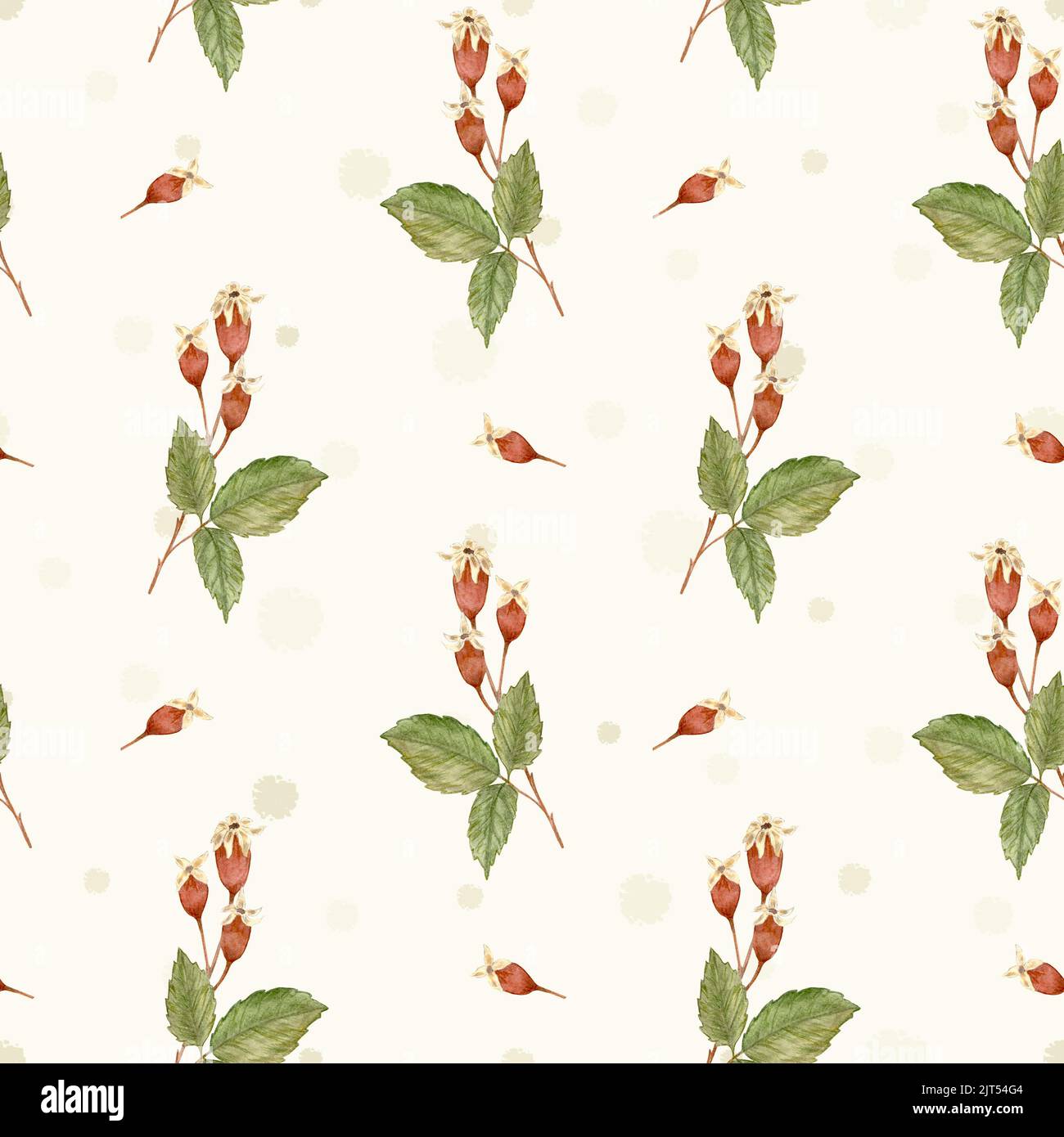 Autumn watercolor pattern with rose hips. Rosehip fruits and branches ...