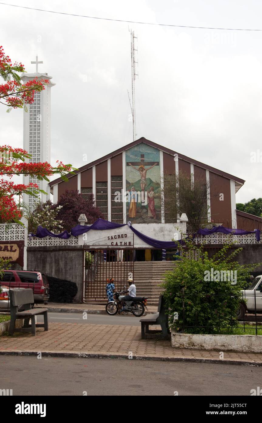Catholic Cathedral, Monrovia, Liberia - flame trees Stock Photo - Alamy