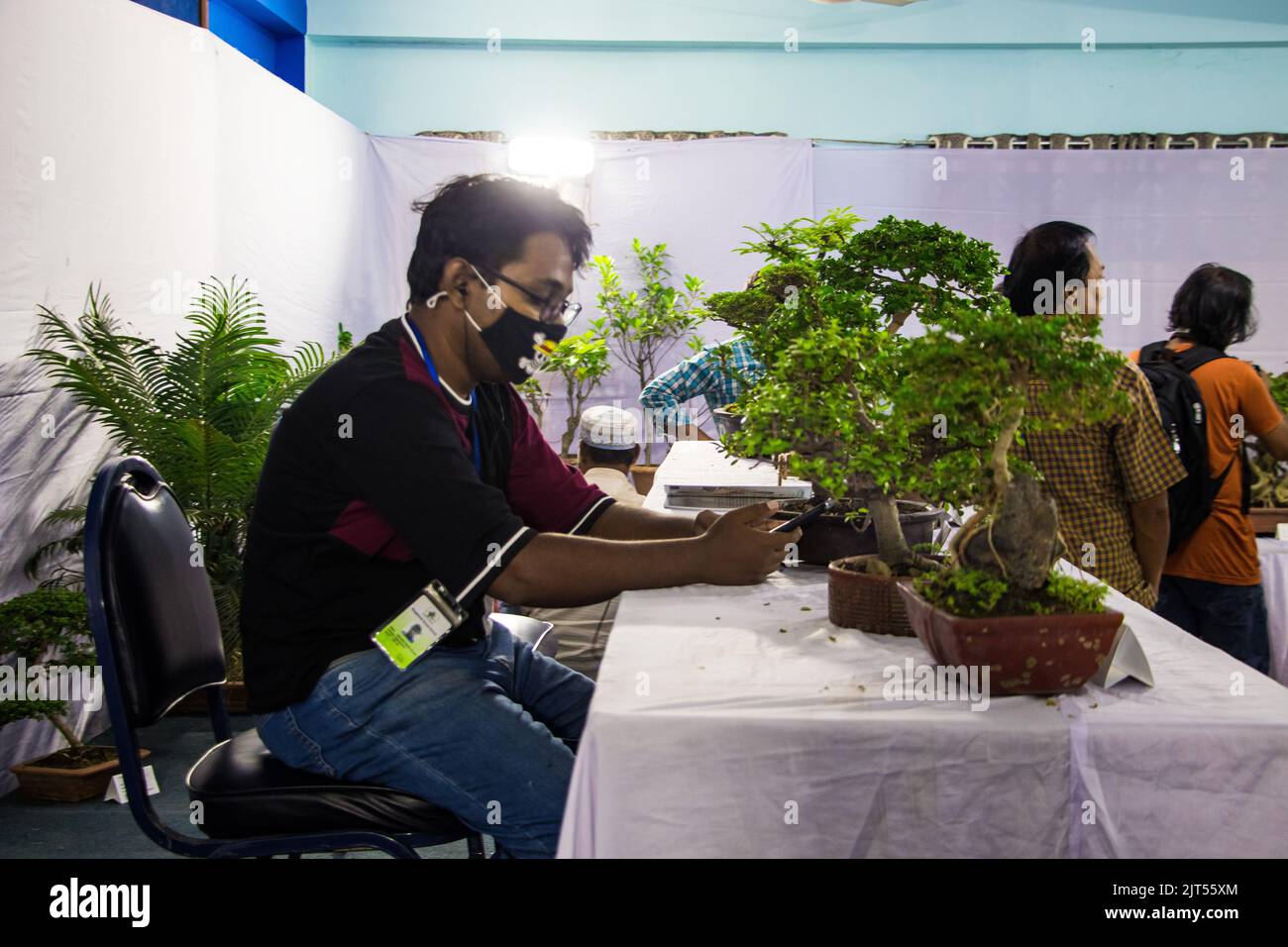 Bonsai tree exhibit on August 27, 2022 Stock Photo - Alamy