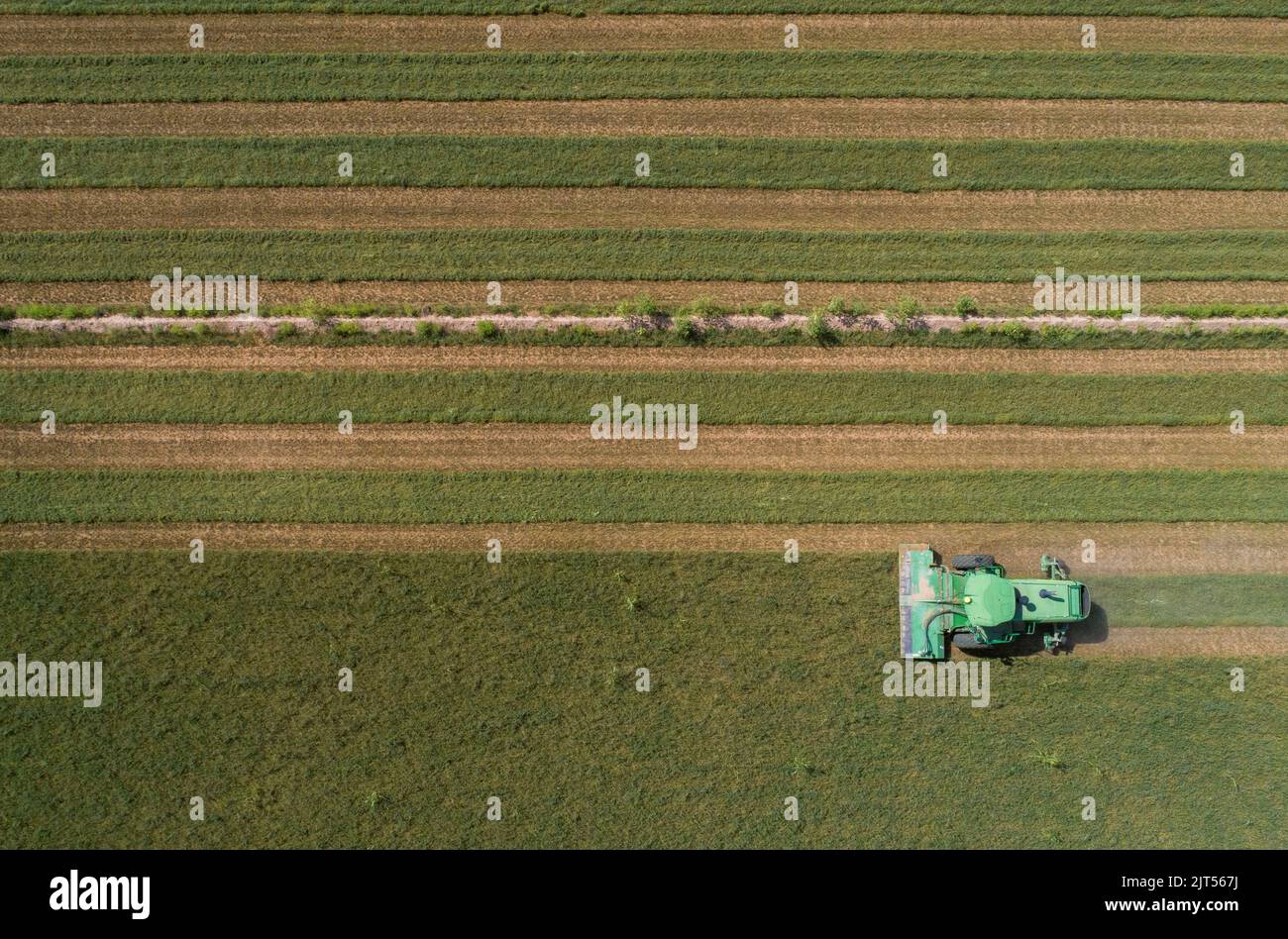 Water intensive crop hi-res stock photography and images - Alamy