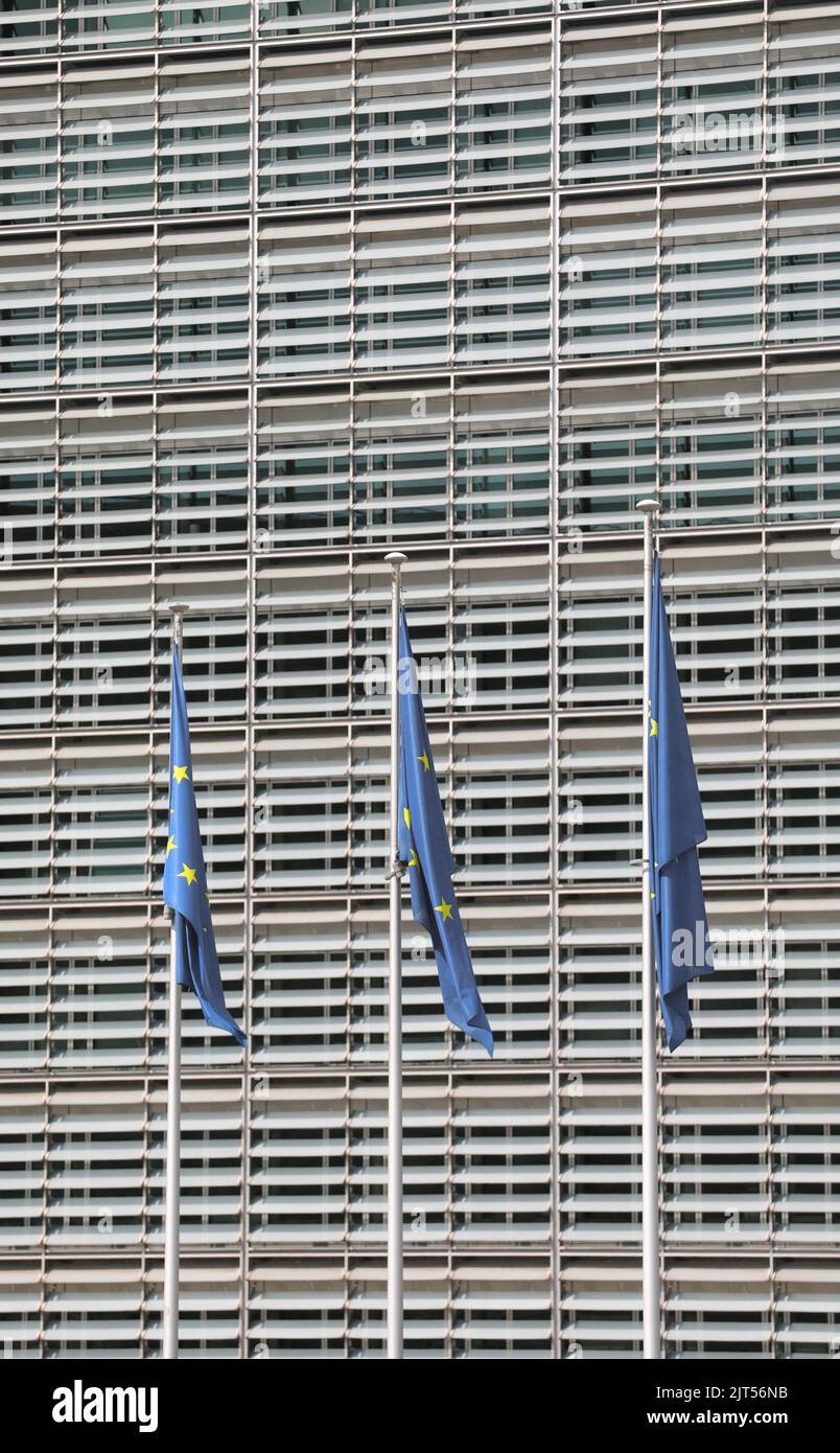 European flags and in the background the modern office building Stock ...