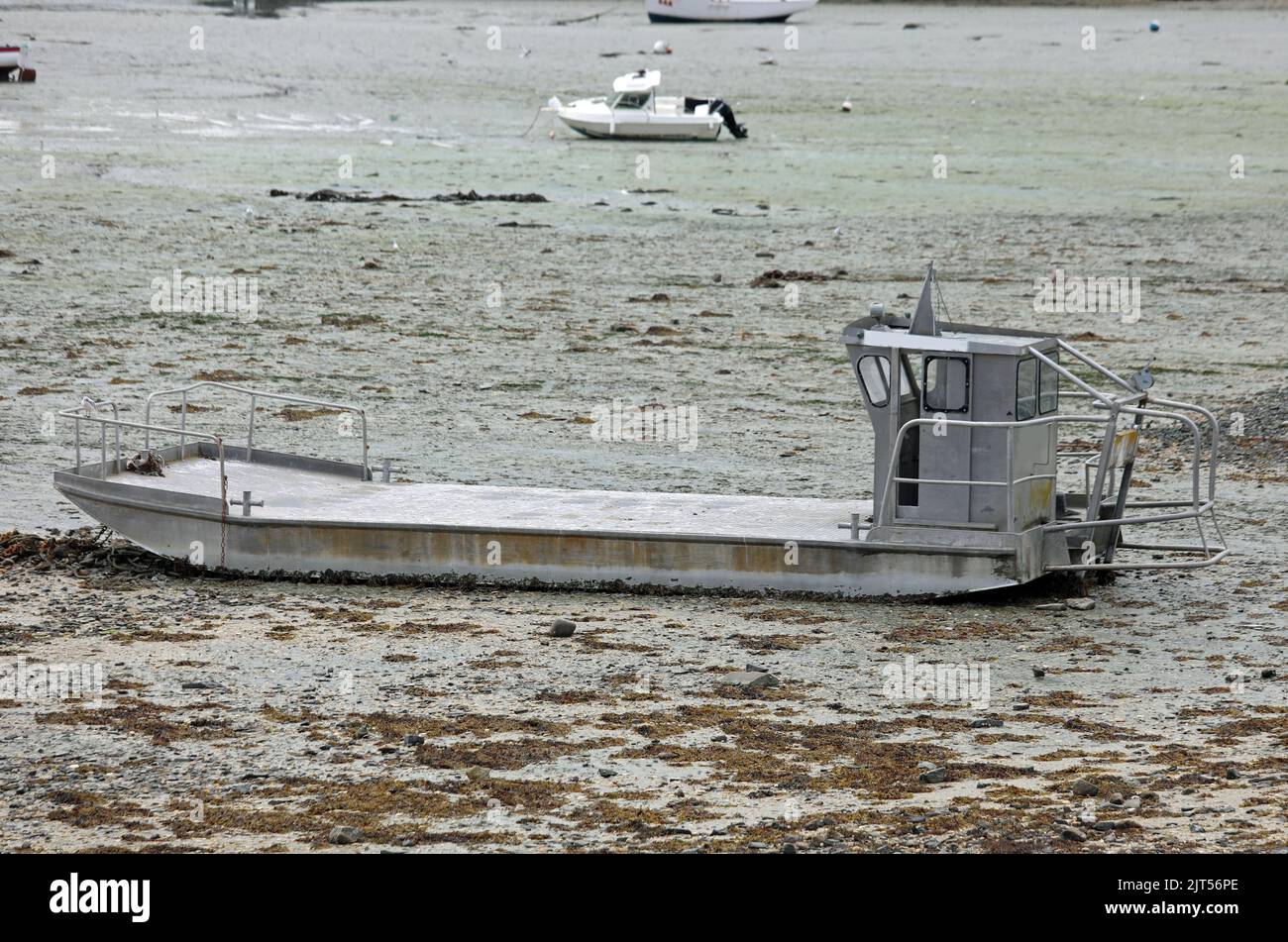 Oyster farming oyster barge hi-res stock photography and images - Alamy