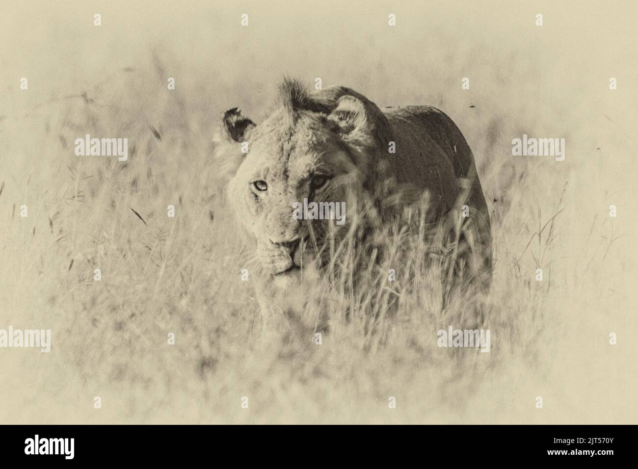 David Onica Sunrise With Broken Plates Clipart