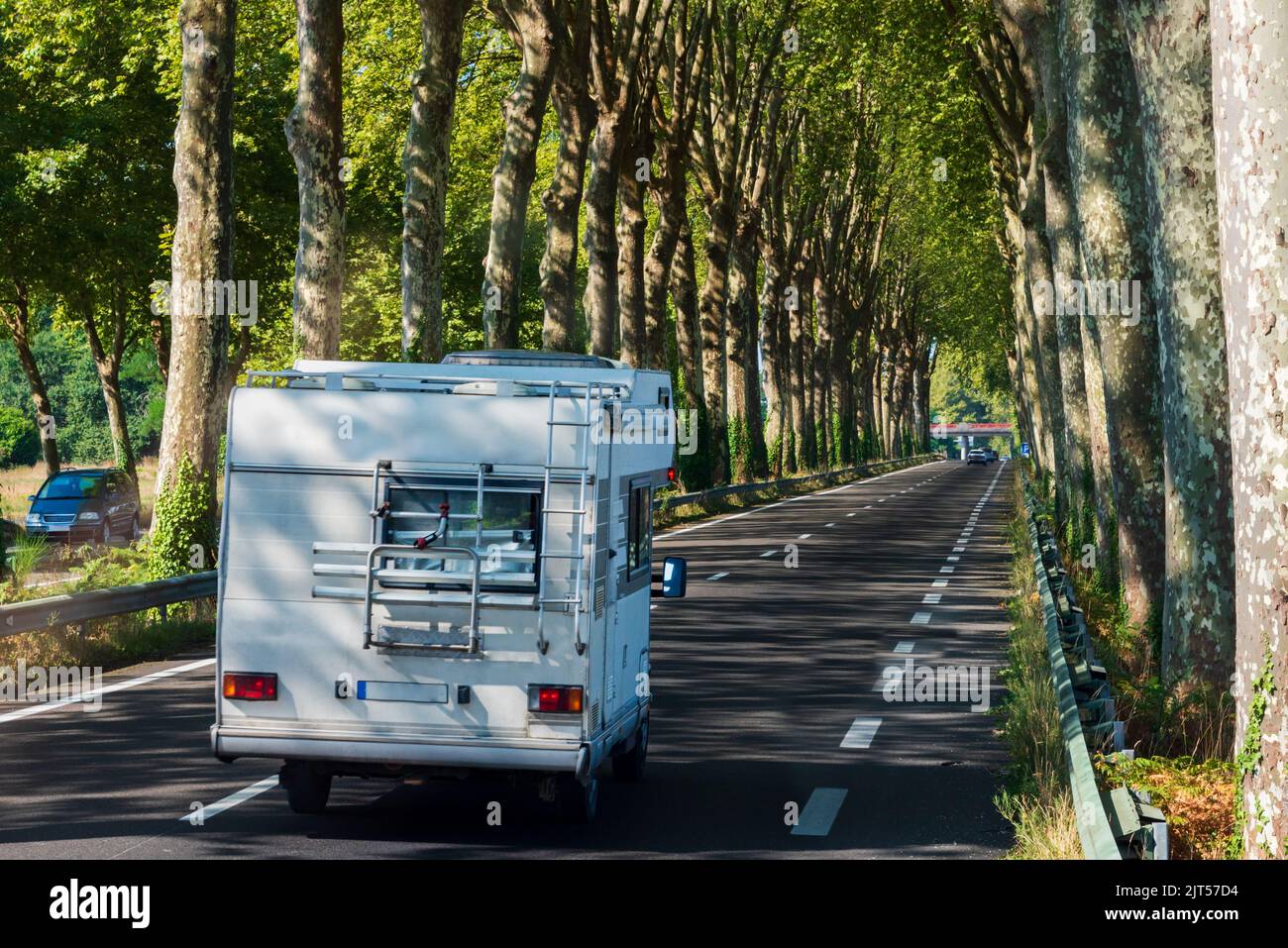 Motorhome driving along a road bordered by two rows of trees Stock ...